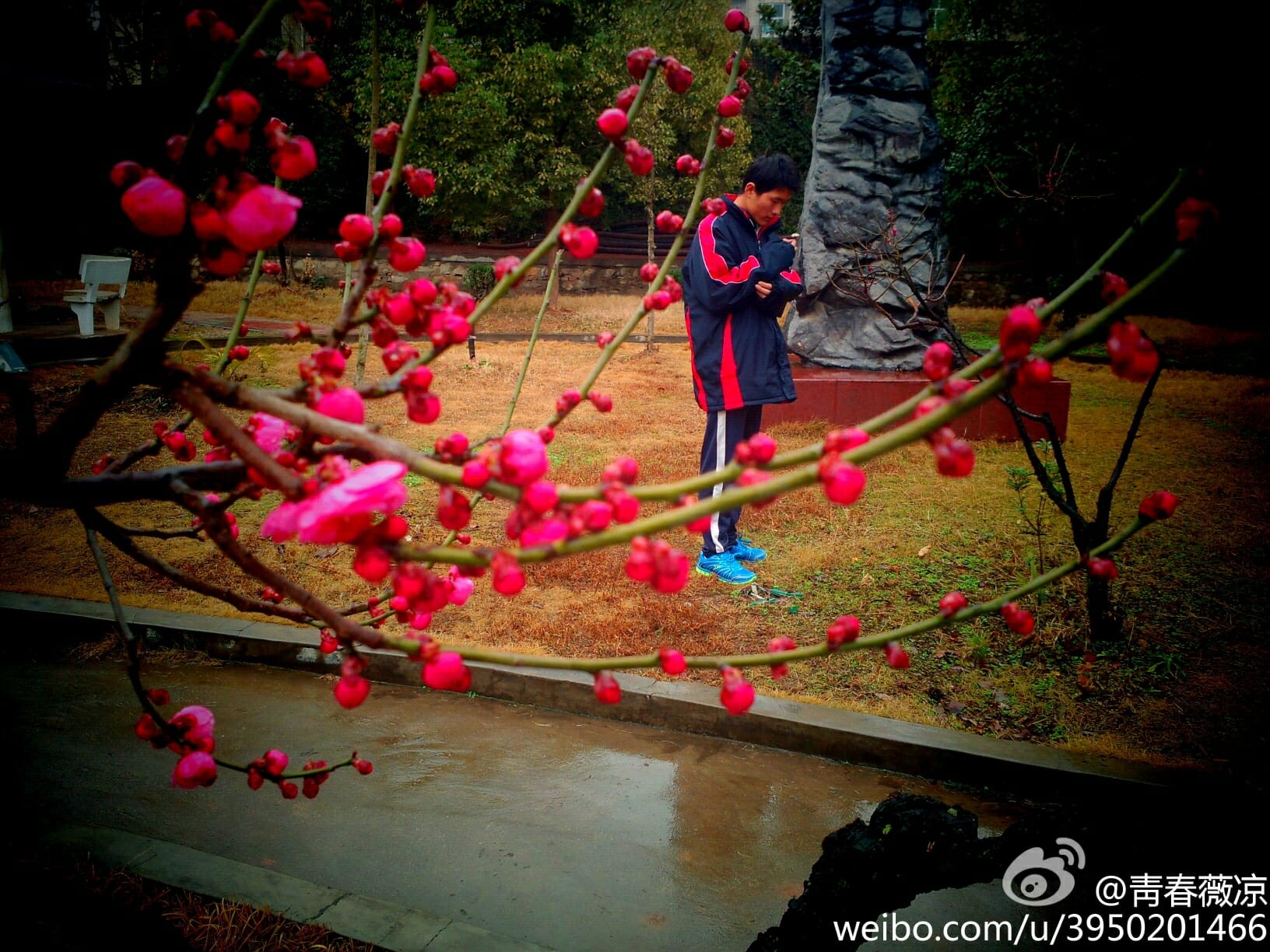 初篇·人生忽如寄，怜取眼前人 | uchiha-peng.github.io